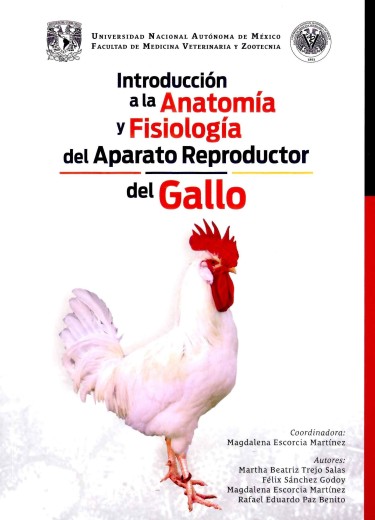 Introducción a la anatomía y fisiología del aparato reproductor del ...
